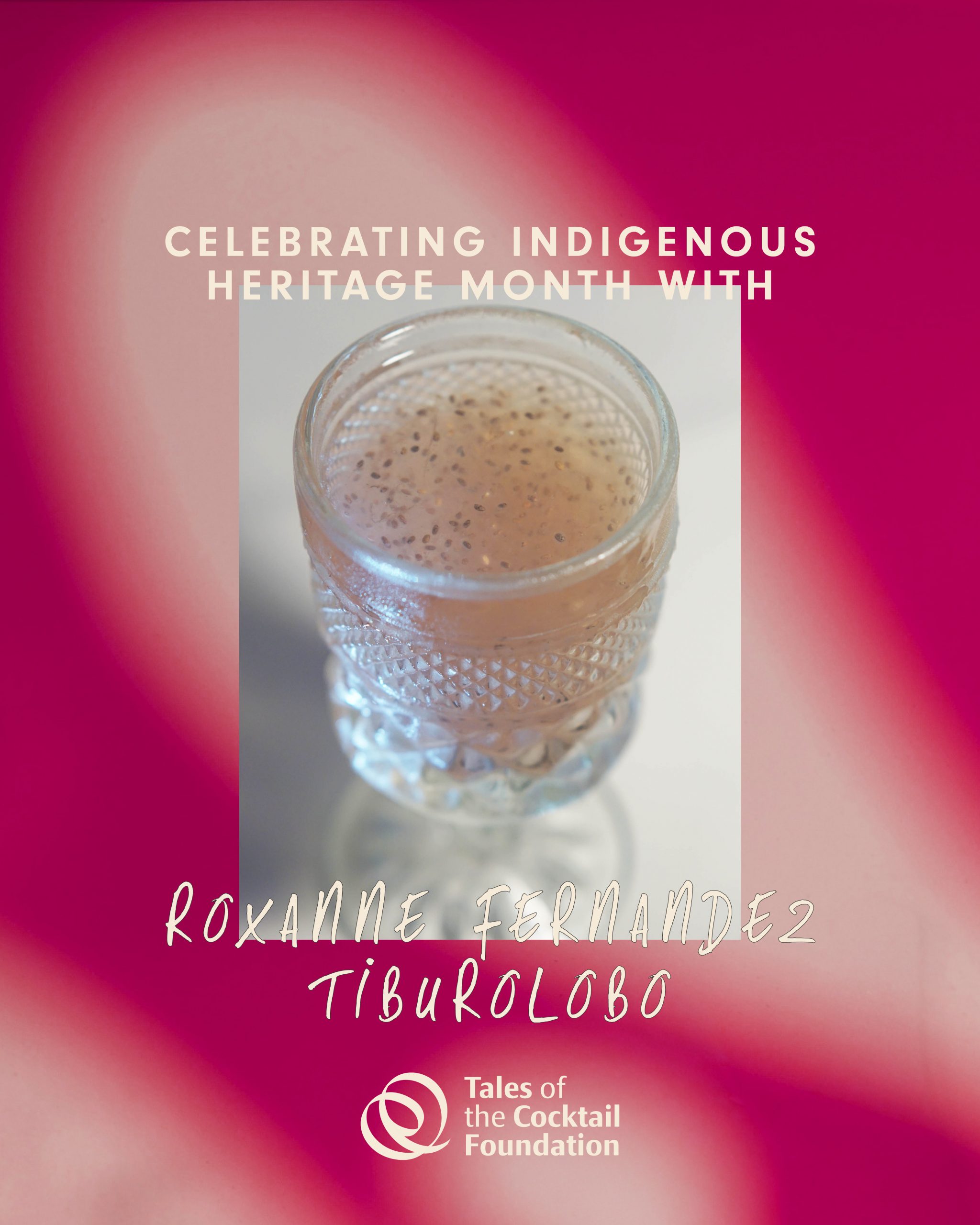 Celebrating Indigenous Heritage Month: Visibly Invisible: We are the ...